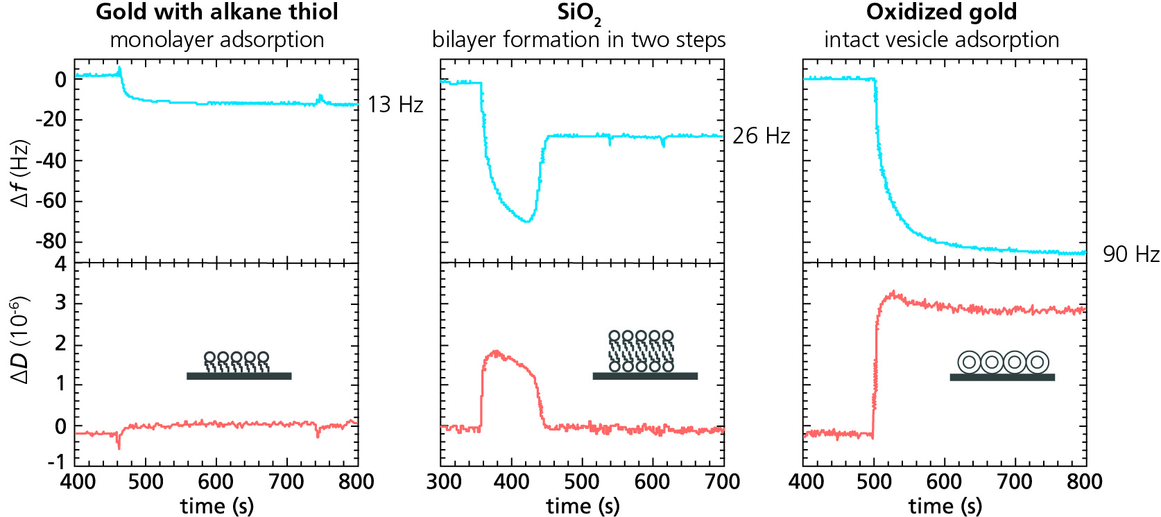 Using QSense QCM-D Analysis to Explore Lipid-Based Systems